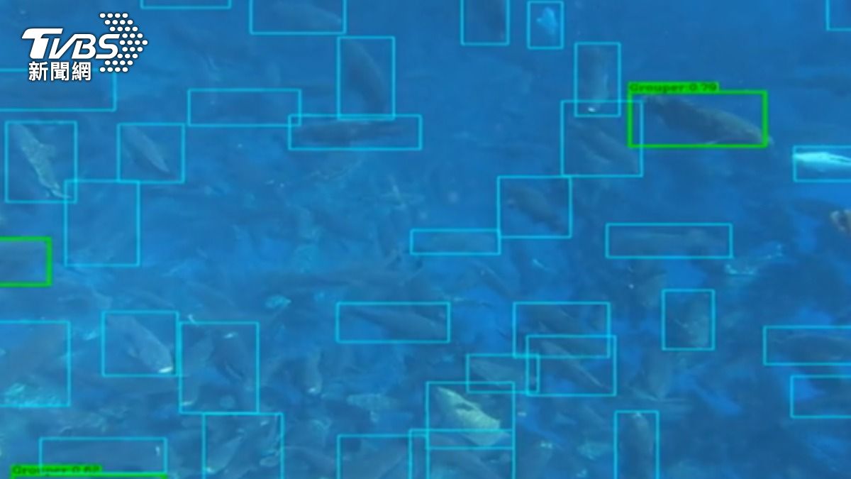 全台最大火龍果園導入AI科技 捕魚也靠AI眼精準判斷魚況│TVBS新聞網