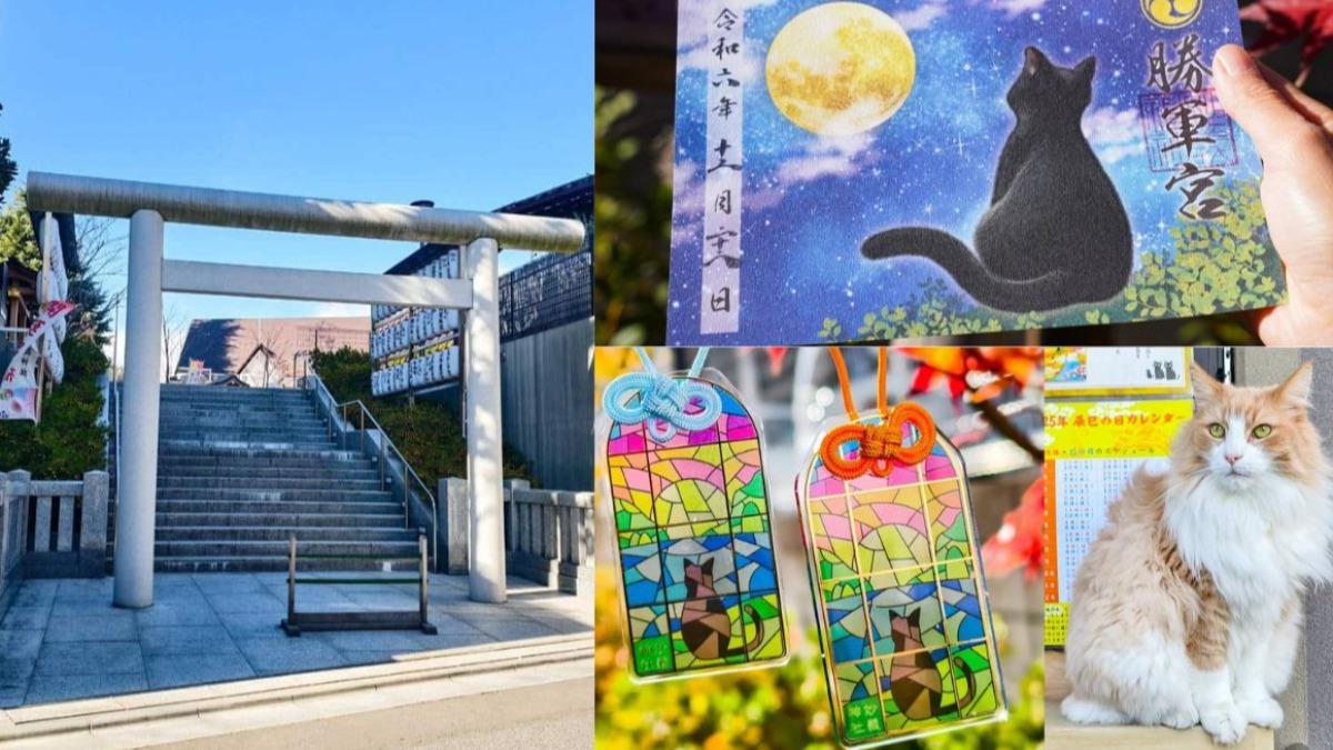 朝聖東京1300年「貓咪神社」！夢幻玻璃御守＋鎮社貓超吸睛│TVBS新聞網