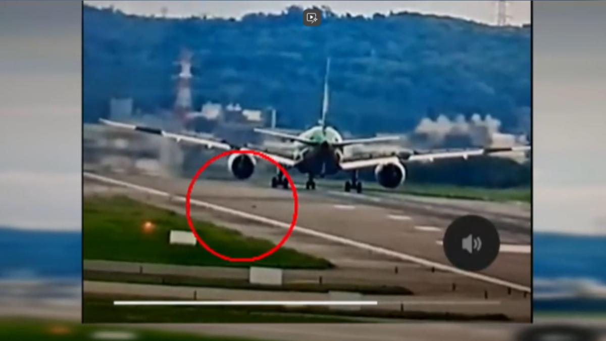 長榮客機起飛前「遭鳥擊」緊急取消！ 桃機工作人員清理鳥屍│TVBS新聞網