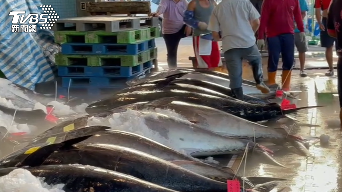 黑鮪魚3公斤500元 顏色怪網戲稱「舒肥灰鮪魚」│TVBS新聞網