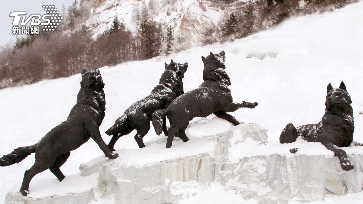 1.4萬年前「木乃伊小狗」身分曝！不是狗 DNA曝是此動物│TVBS新聞網