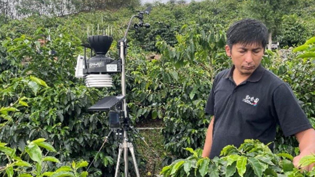 Taiwan coffee farms cut water use 40% with smart technology │TVBS新聞網