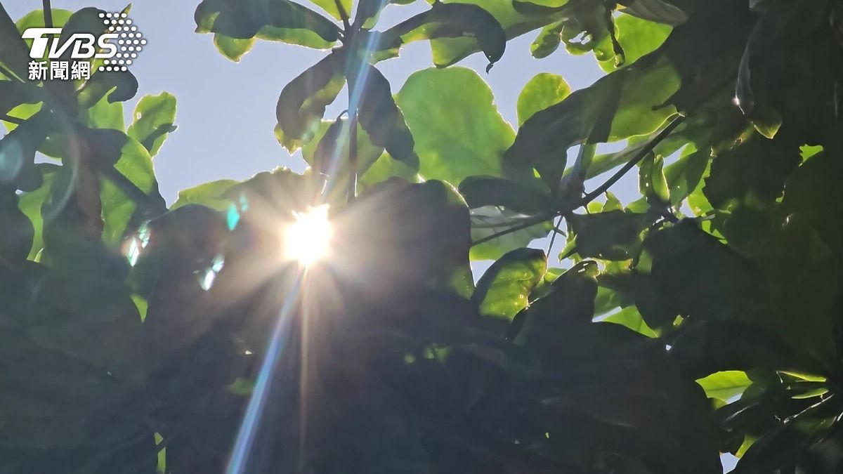 全台熱爆！這地區飆「38.2度」居冠 6月熱傷害就醫達573人次│TVBS新聞網