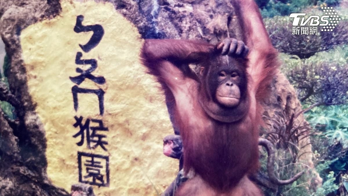 ㄅㄆㄇ猴園舊址淪廢棄物場！不法清運1年獲利2500萬 12人遭起訴│TVBS新聞網