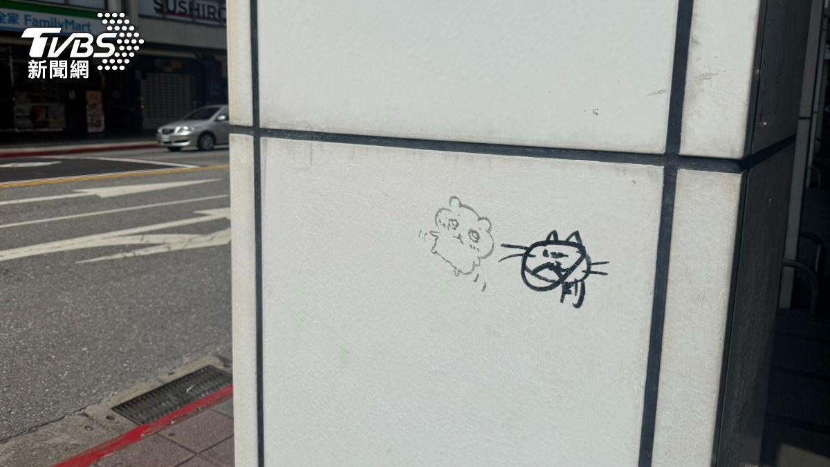 奇特地標席捲Google Maps！「Ruka旁邊、路口貓」成新寵│TVBS新聞網