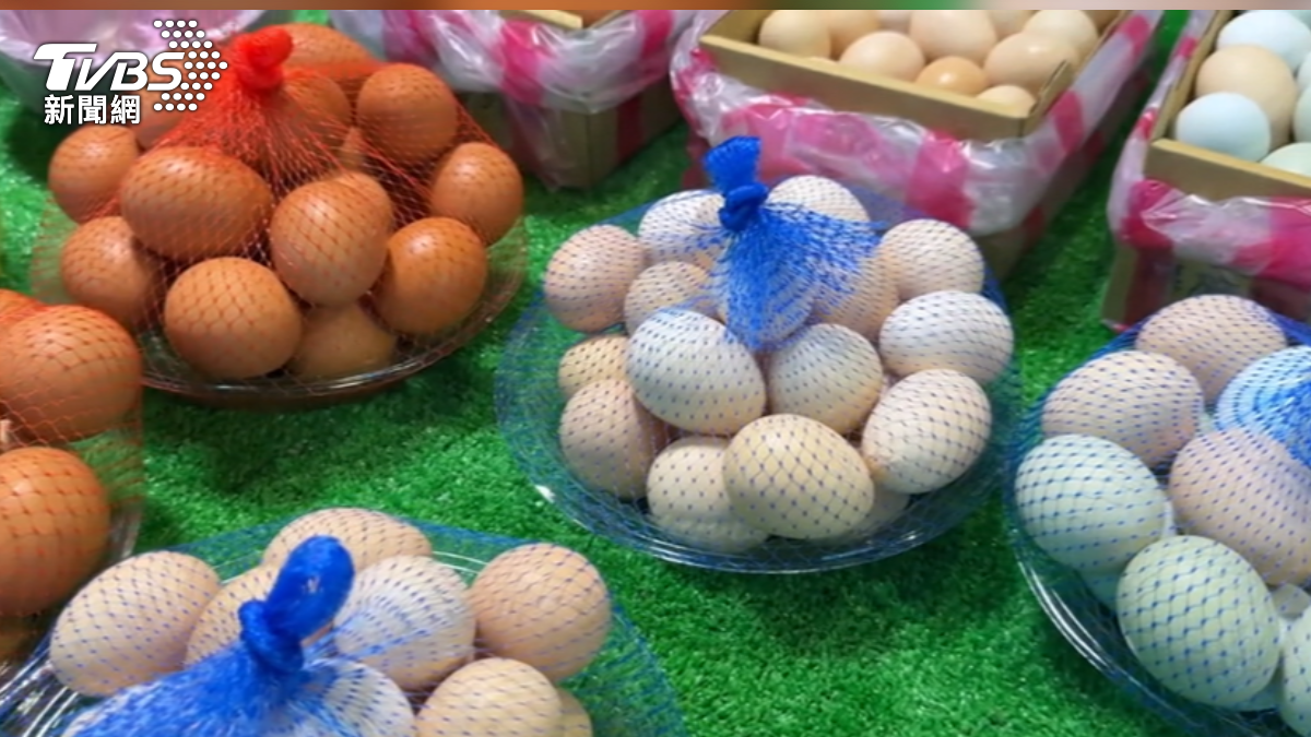 傳蛋價緩漲為726大罷免！雞農批政府干預│TVBS新聞網
