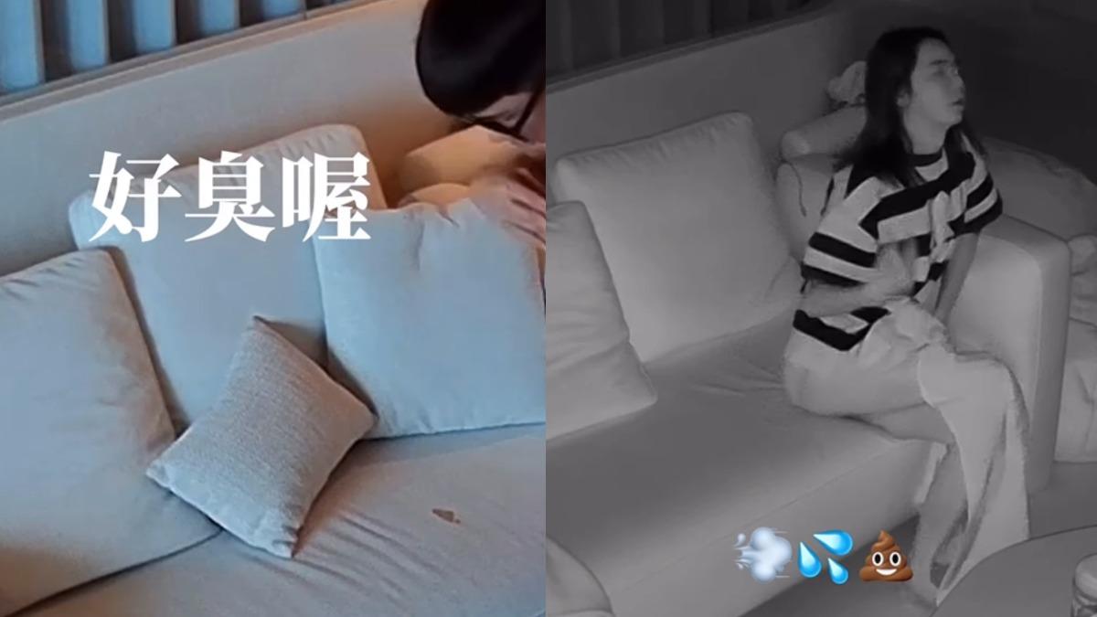 林進才入住新家！Kiwebaby「噴屎在沙發上」沒清 過程全被拍│TVBS新聞網