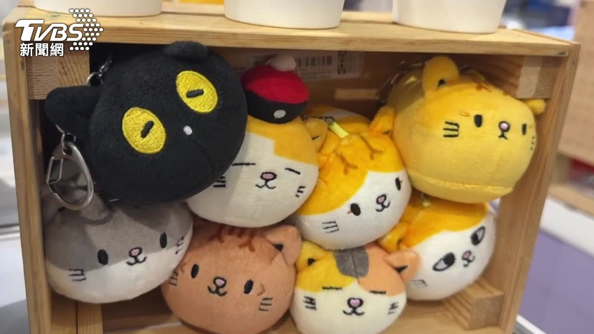台灣原創IP齊聚文博會 黃阿瑪貓咪軍團吸睛人氣爆棚│TVBS新聞網