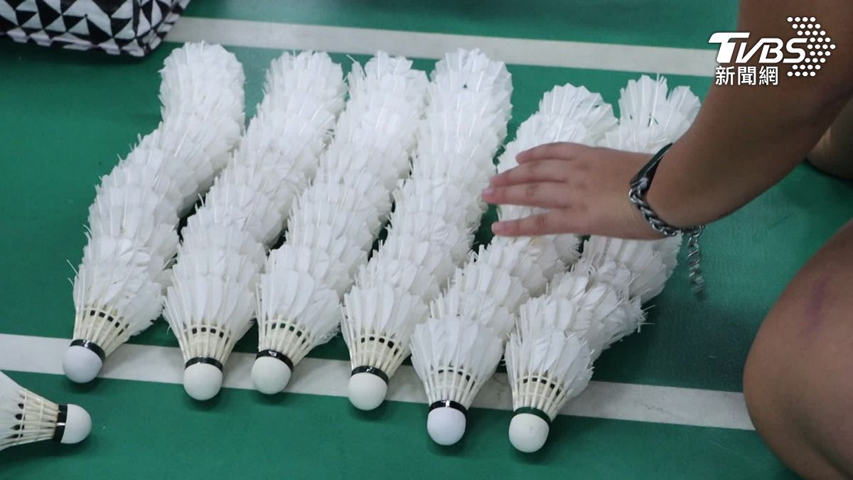 羽球一桶暴漲190元！比賽級用球破千 球友被迫「少殺球」│TVBS新聞網
