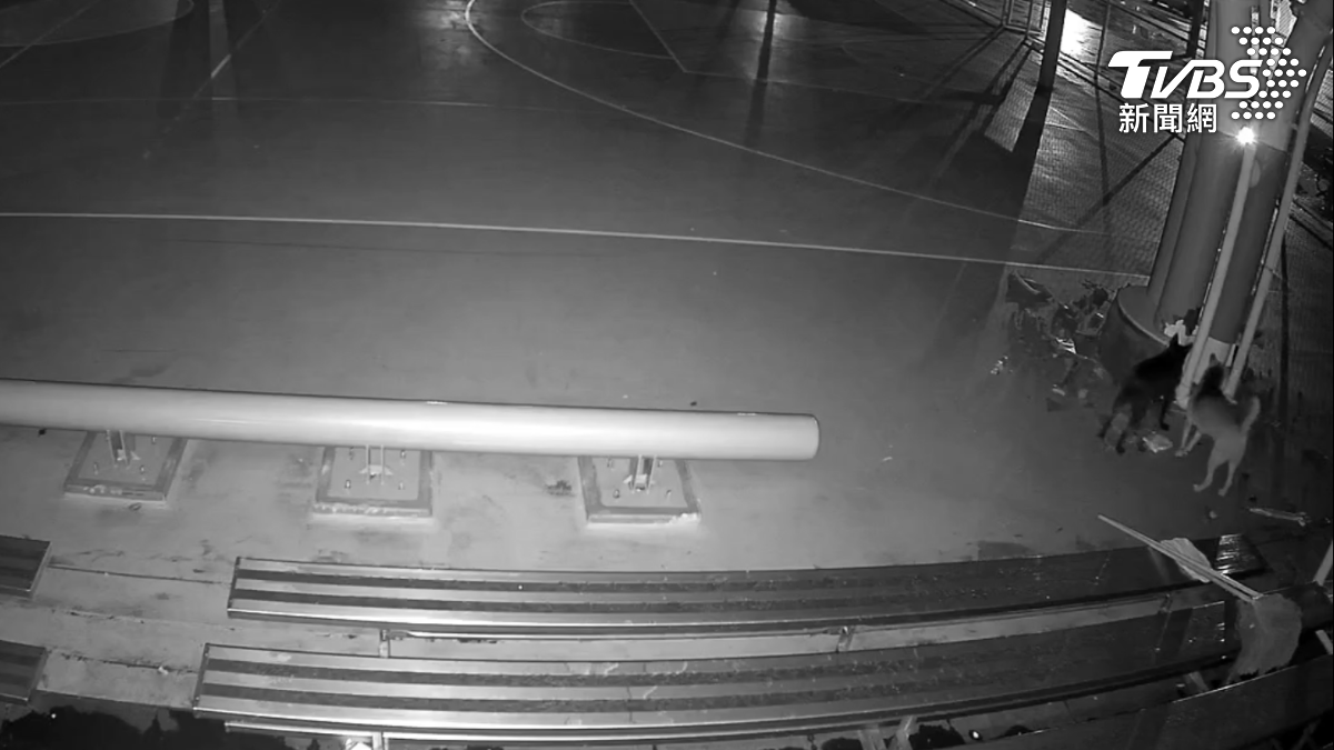 雲林2500萬打造球場！防護墊遭撕爛 市長揪出「超派兇手」│TVBS新聞網