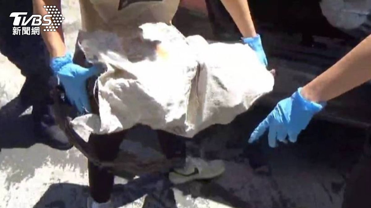 狠盜價值1500萬國有林木！還跨縣市販售 山老鼠集團慘了│TVBS新聞網