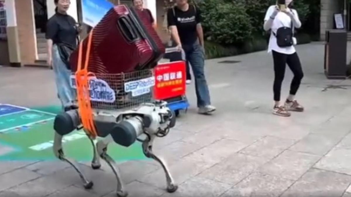 開學免大包小包！浙大推機器狗 搬20公斤行李箱超吸睛│TVBS新聞網