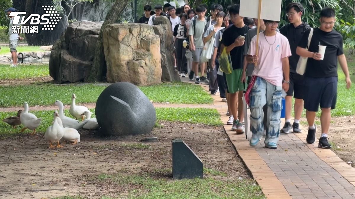 我的老天鵝！中興鵝叼畢業證書 新生手冊列「防鵝SOP」│TVBS新聞網