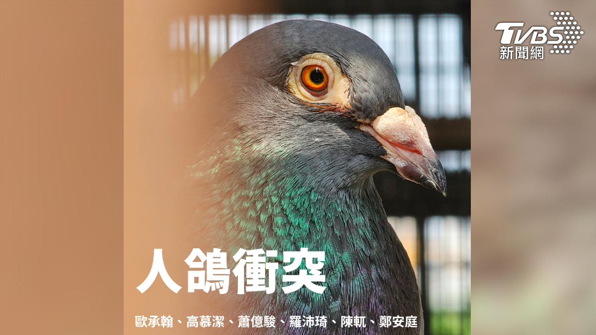 玉山銀拚2030年100%綠電 2027年自有行舍全面綠建築│TVBS新聞網