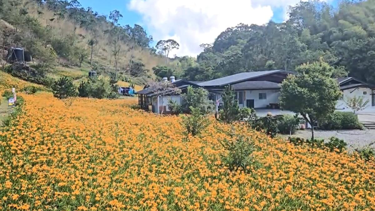 民眾控赤科山天價車資 計程車600元變2500元 業者反駁│TVBS新聞網