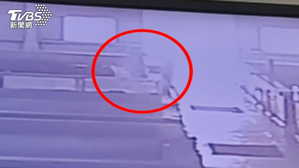 獨／不怕「3C中毒」？男持iPhone 龍膽誤當飼料吞下肚│TVBS新聞網