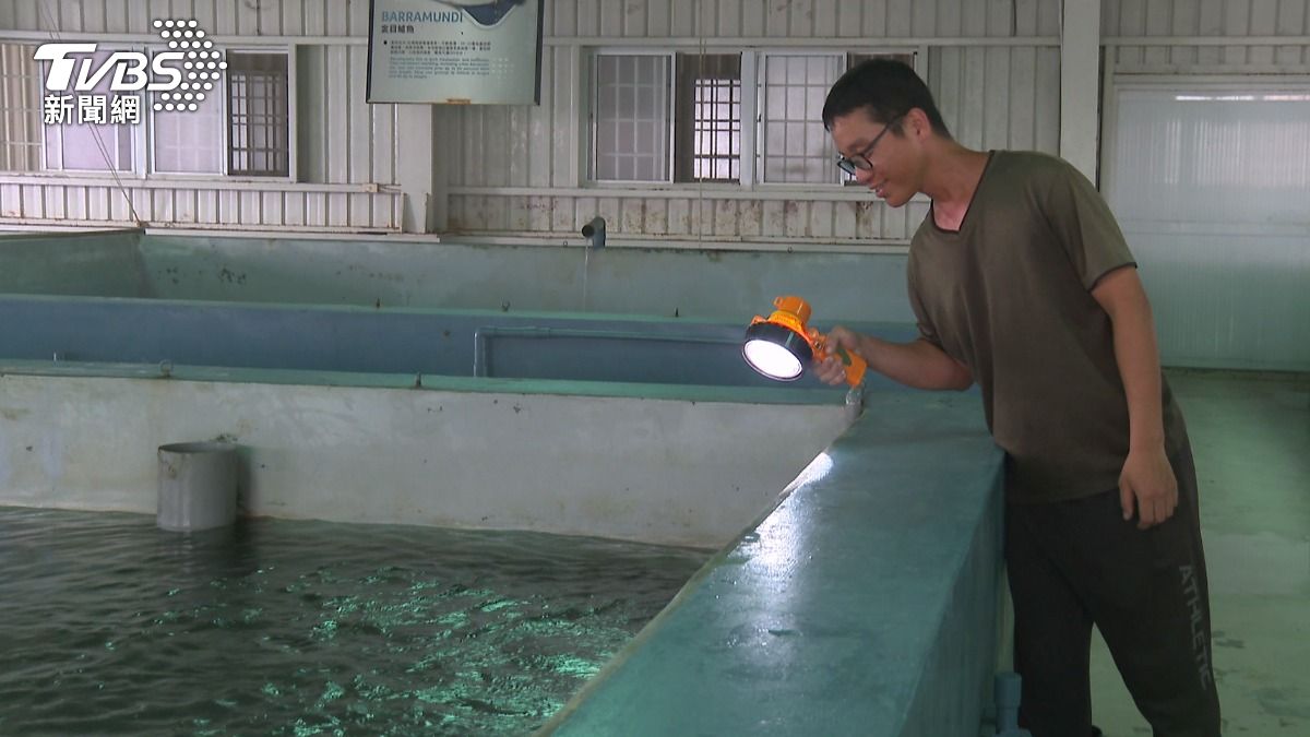 獨／不怕「3C中毒」？男持iPhone 龍膽誤當飼料吞下肚│TVBS新聞網