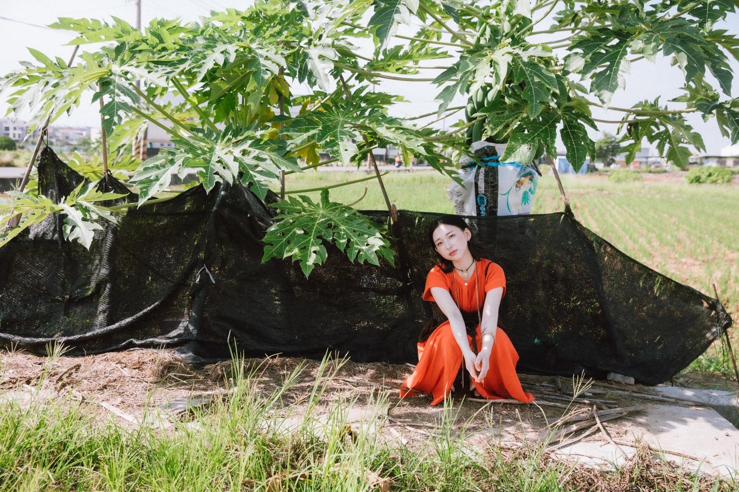 阿公被叫「台灣桑」⋯日團Hakubi衝嘉義尋根 「茶の魔手」入MV│TVBS新聞網