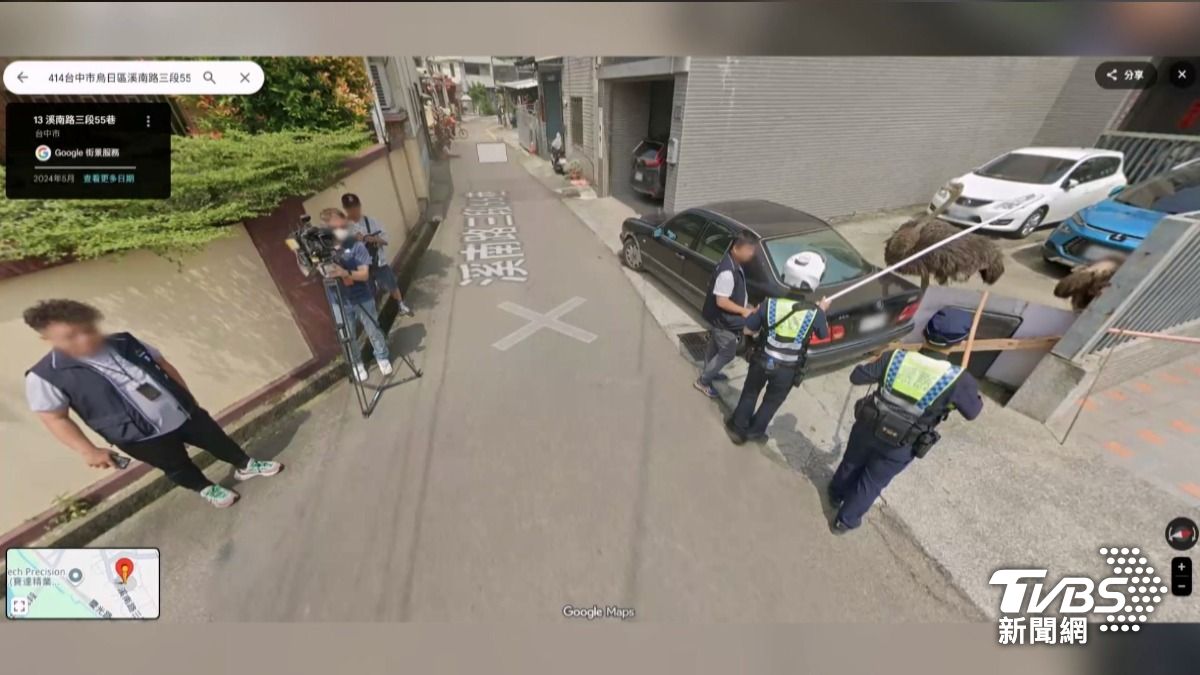 台灣特殊街景！鴕鳥逃亡被Google車拍下 員警圍捕全入鏡│TVBS新聞網