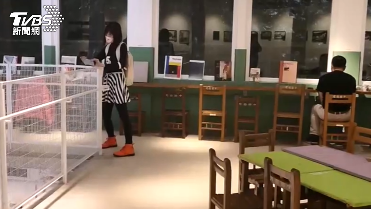 特斯拉改款Model 3悄上架台官網！「1內裝」重新回歸細節曝光│TVBS新聞網