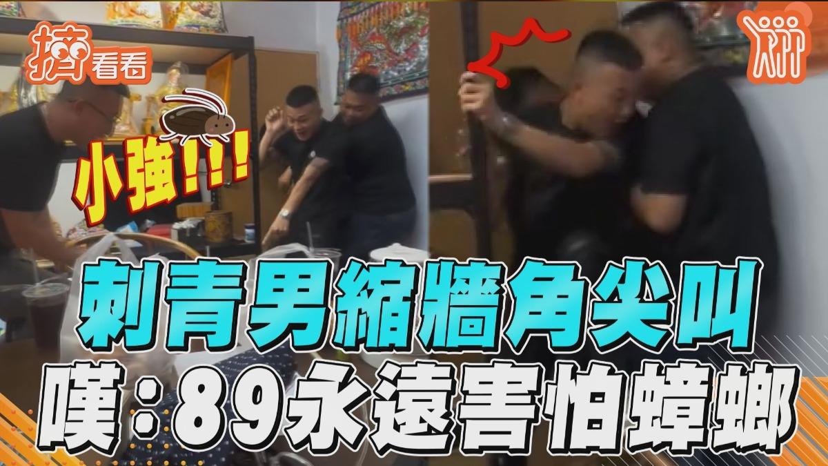 影音／刺青男急閃小強「縮牆角尖叫」 高8度哀號嘆：89永遠害怕蟑螂│TVBS新聞網