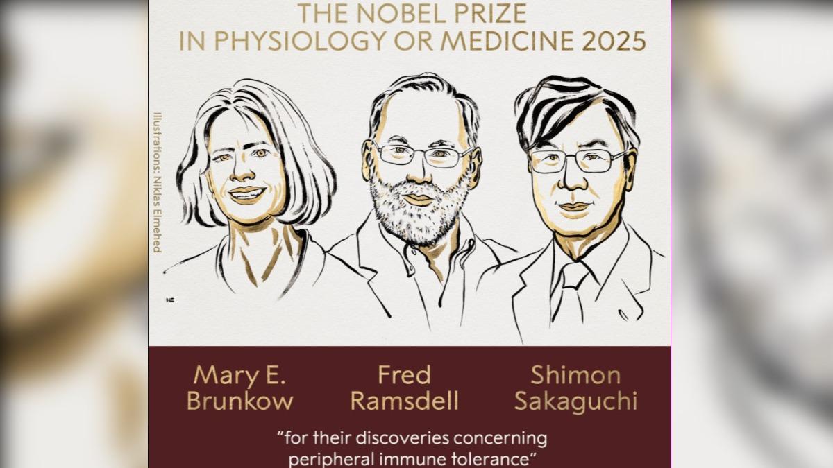 美日3博士獲諾貝爾生醫獎 發現調節性T細胞為「外周免疫耐受」打基礎│TVBS新聞網