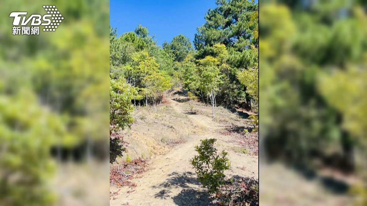 越野機車闖雪霸國家公園管制區！3男騎進馬武霸山步道遭逮下場曝│TVBS新聞網