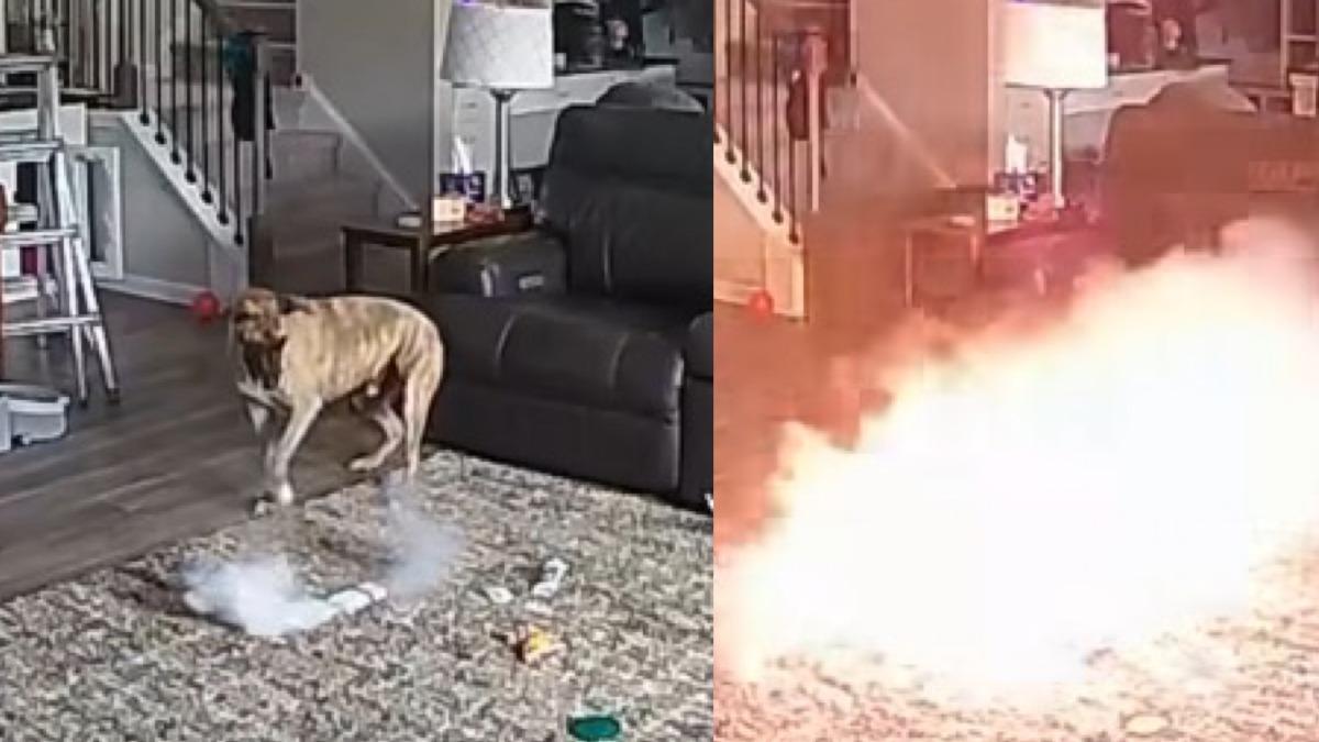 安全使用方法 相關新聞報導 第1頁 - TVBS新聞網