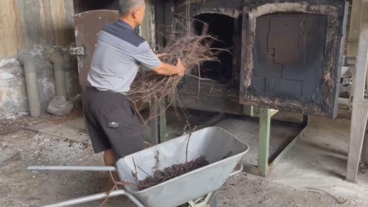 6000噸葡萄枝變黑金！彰化農業廢枝「碳」出2.4億產值│TVBS新聞網