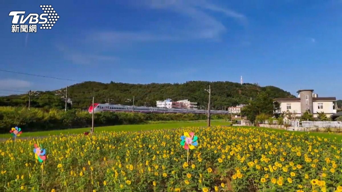 七甲地向日葵花海驚艷全台！「歐風建築伴鐵道」成IG打卡聖地│TVBS新聞網