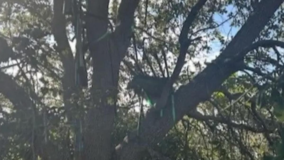 鎖定川普下機區？特勤局發現可疑「狙擊高台」 FBI介入調查│TVBS新聞網