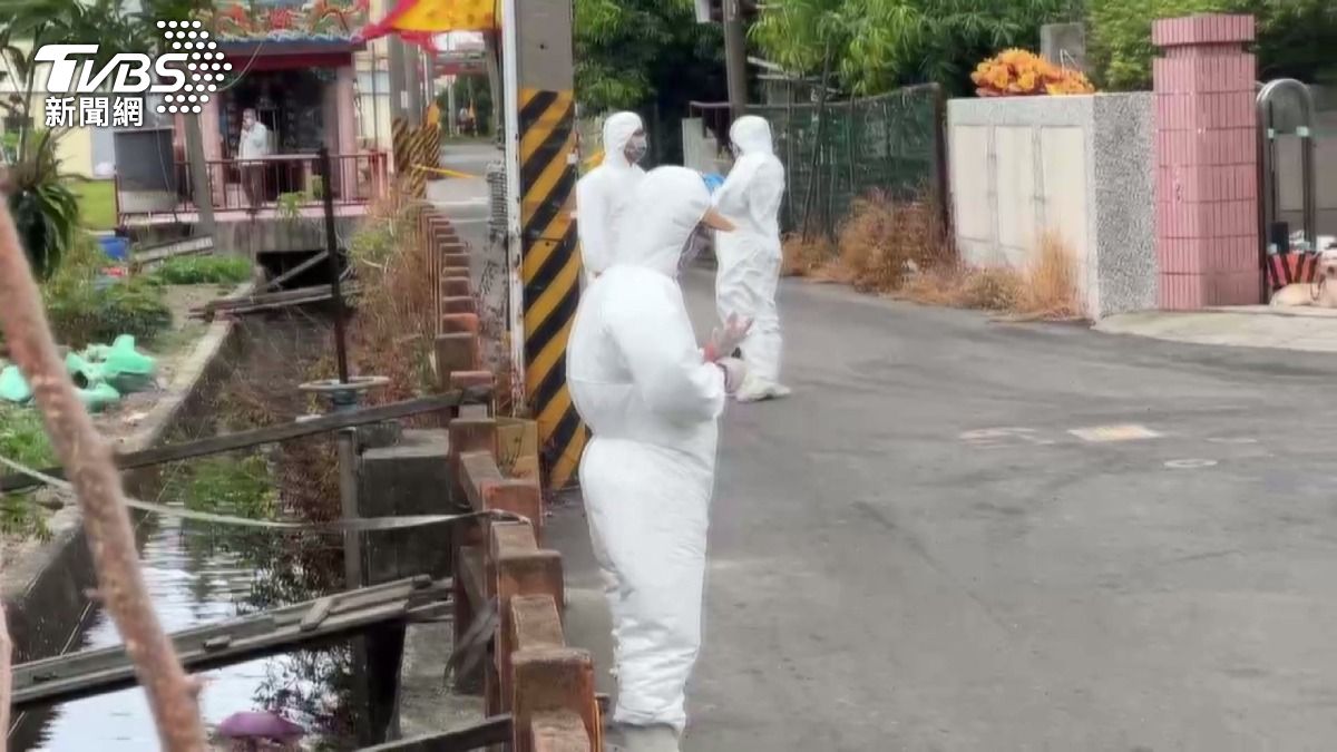 非洲豬瘟襲台中！117頭豬隻離奇死亡 全國緊急禁運禁宰│TVBS新聞網