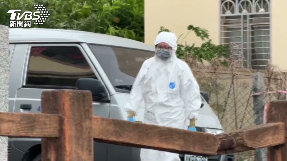 非洲豬瘟襲台中！117頭豬隻離奇死亡 全國緊急禁運禁宰│TVBS新聞網