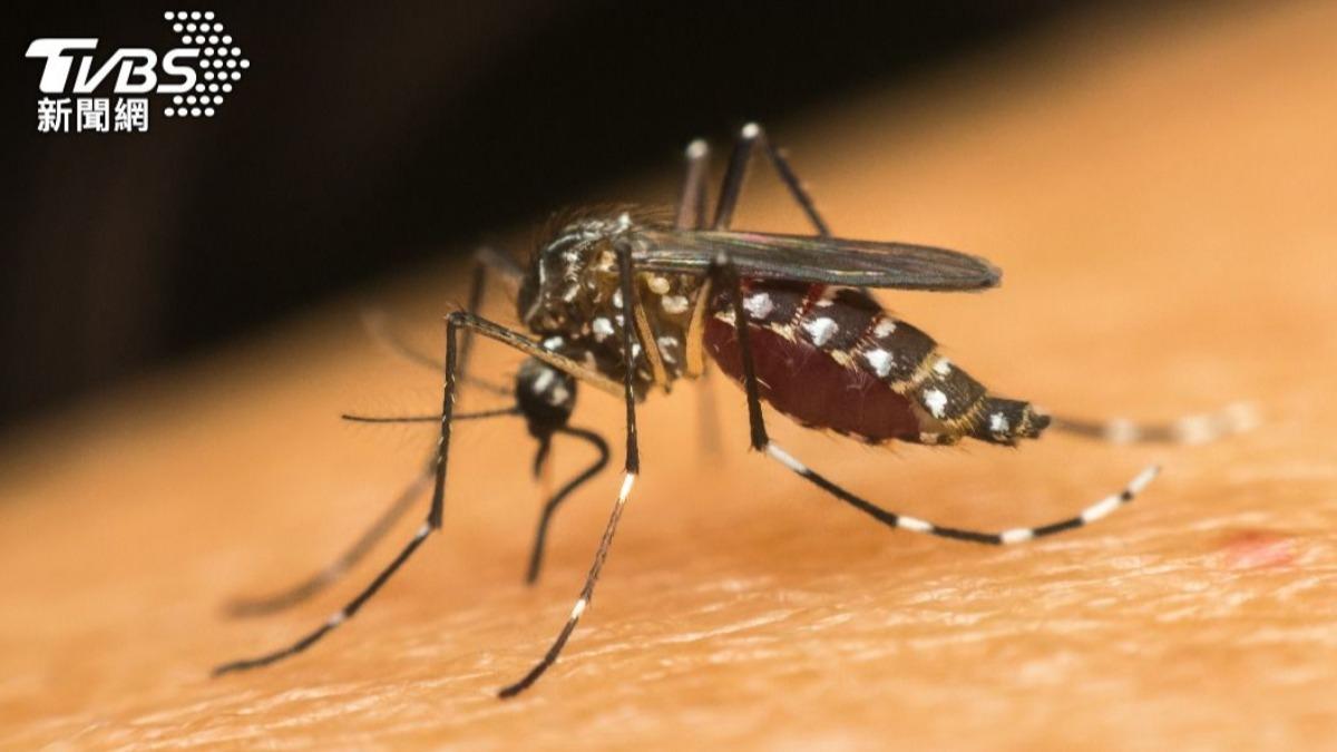 香港爆｢首例境內感染」！鳳德區確診基孔肯雅熱 8000戶受威脅│TVBS新聞網