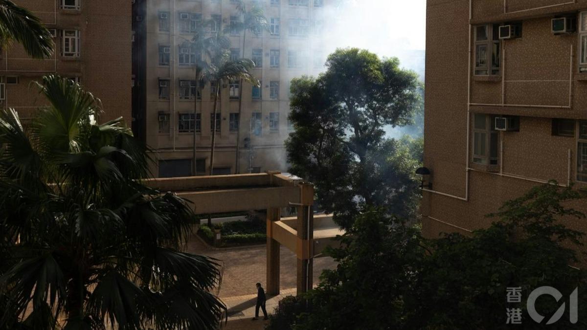 香港爆｢首例境內感染」！鳳德區確診基孔肯雅熱 8000戶受威脅│TVBS新聞網