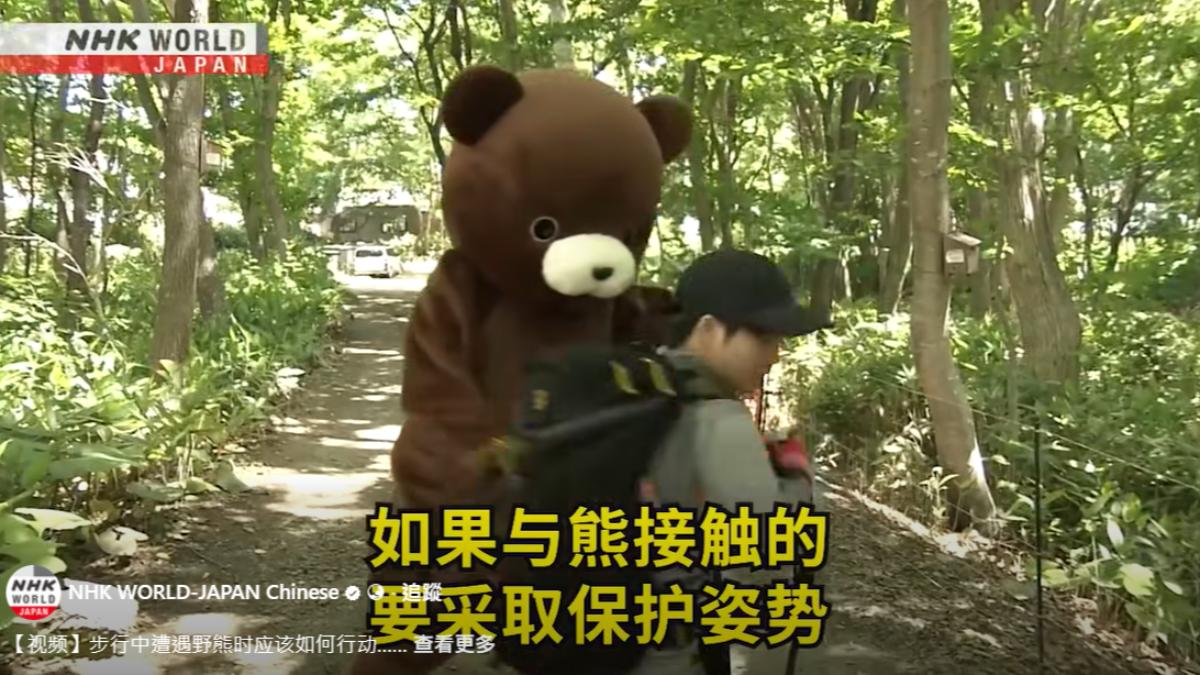日野熊襲人頻傳！NHK推遇熊自保片 網歪樓：熊大兼差太可愛│TVBS新聞網