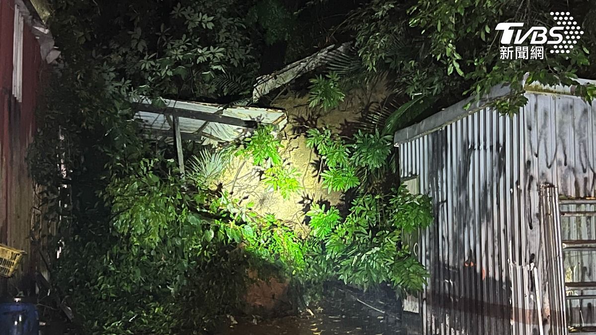 南港舊莊街邊坡坍方 百年老樹連同土石滑落│TVBS新聞網