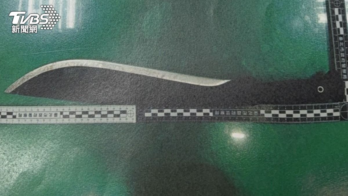 北市圓山飯店30歲男持刀「砍樹」 下場慘噴1萬6│TVBS新聞網