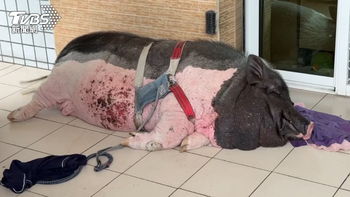 兄弟相依為命…台中哥寒流突離家失蹤 弟20公里外找到人淚相擁│TVBS新聞網