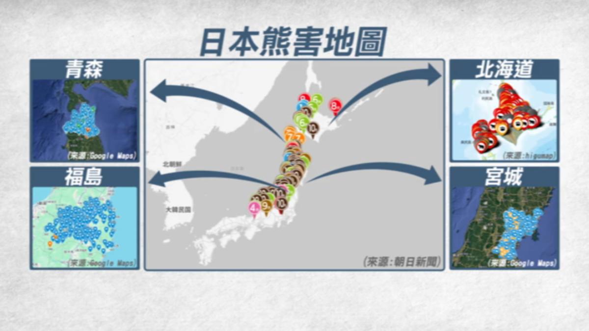 日機票價格直直落 北海道札幌6000元有找 遊客憂熊害│TVBS新聞網