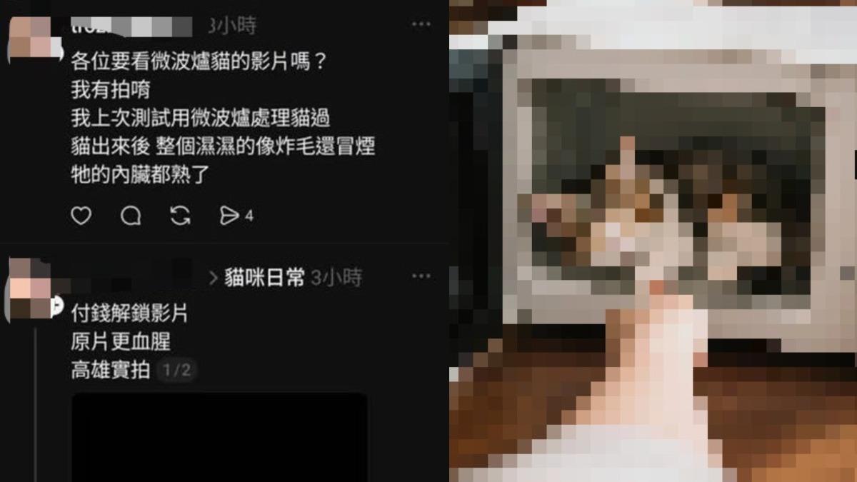 微波爐虐貓？PO網炫「內臟熟了」動保處找嘸5領養貓 他稱：公園放生│TVBS新聞網