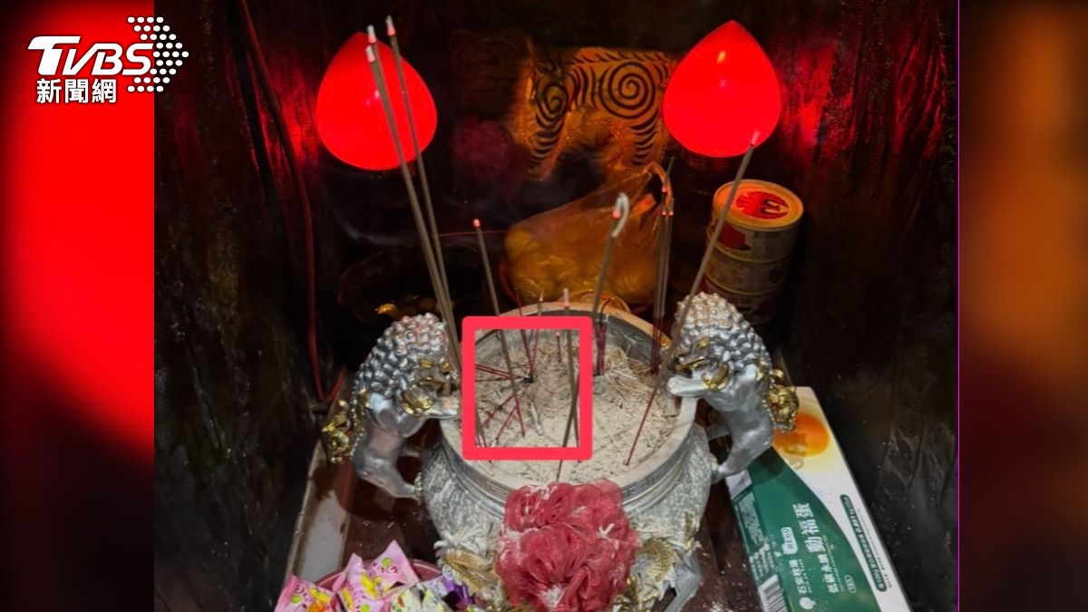 獨／拿貓罐頭拜虎爺！瞬間大發爐 廟方婉謝：祂不是貓│TVBS新聞網