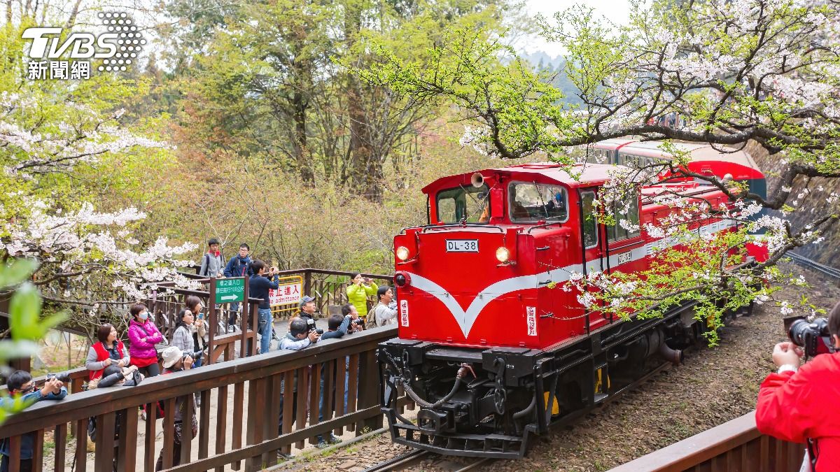 全球200條世界史詩級鐵道之旅！台灣「這鐵路」入列│TVBS新聞網