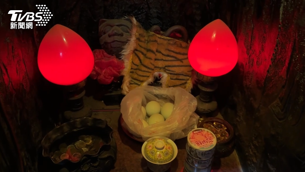 獨／拿貓罐頭拜虎爺！瞬間大發爐 廟方婉謝：祂不是貓│TVBS新聞網
