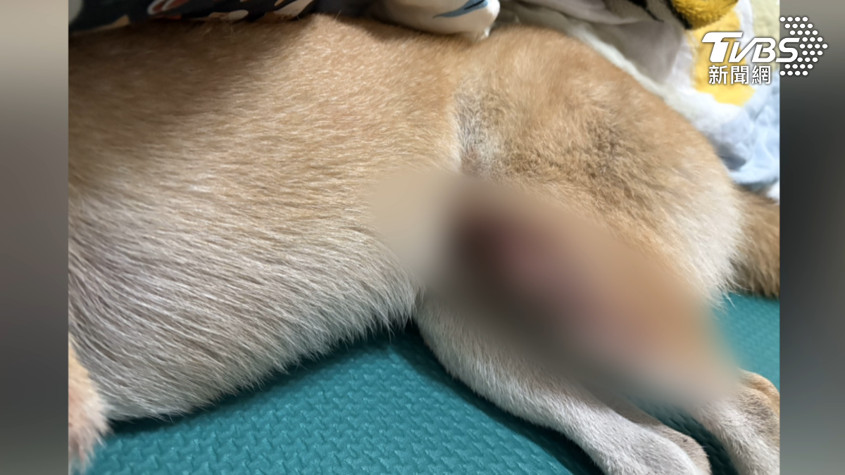 洩憤？男騎車「炸彈般撞車行」再砸店 2顧客險挨撞│TVBS新聞網