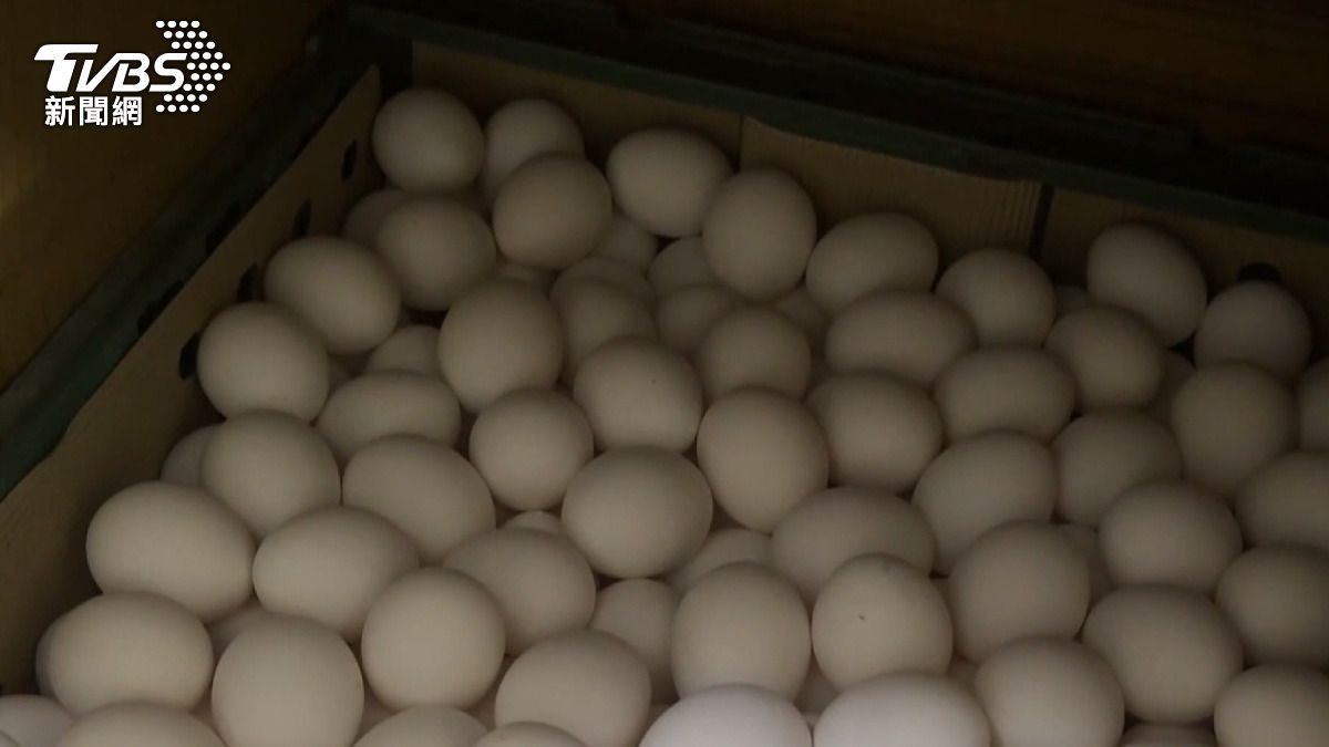 芬普尼超標雞蛋流入台中！影響35家店 業者急喊「已停用」│TVBS新聞網