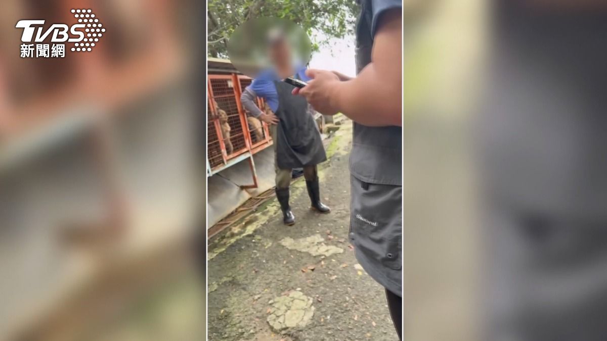 「割聲帶拔爪」273犬慘淪無聲商品 縣府拔官設專線緊急救援│TVBS新聞網