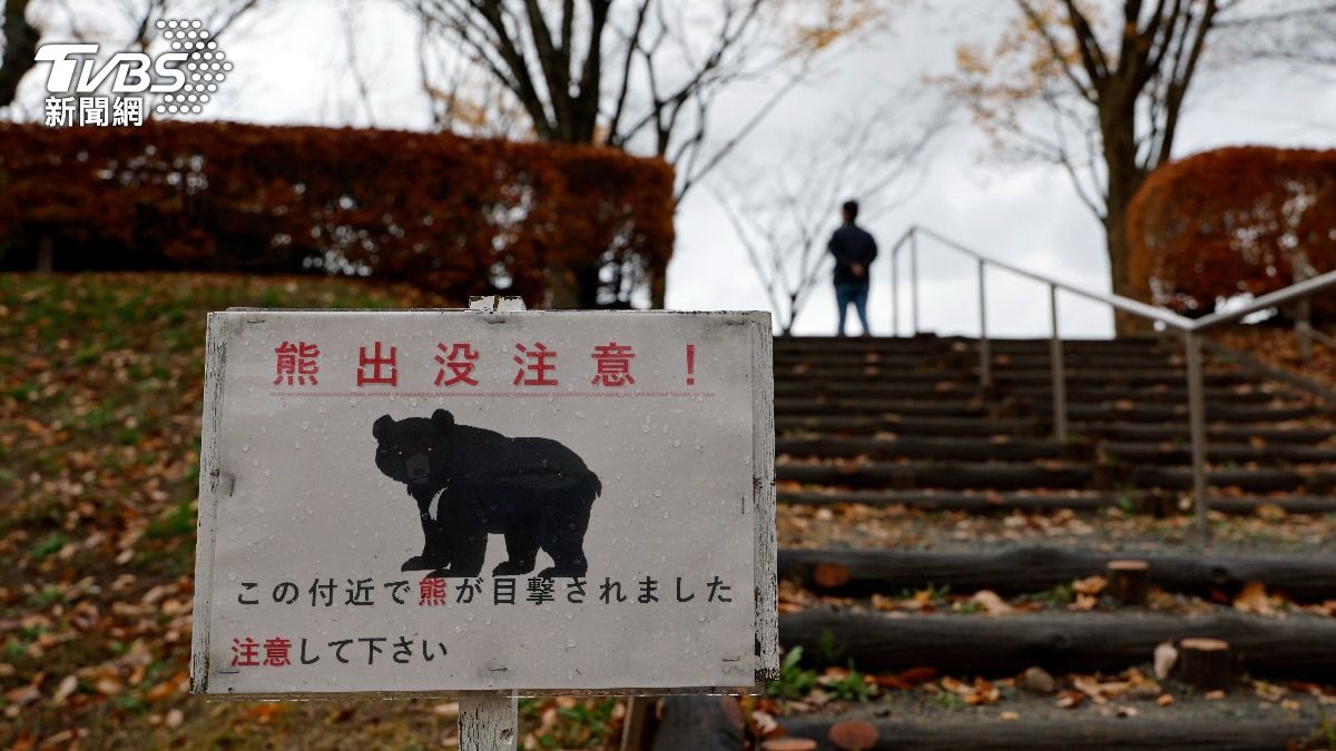 兩隻熊出沒岩手小學附近 秋田又一婦人遭熊襲擊亡│TVBS新聞網