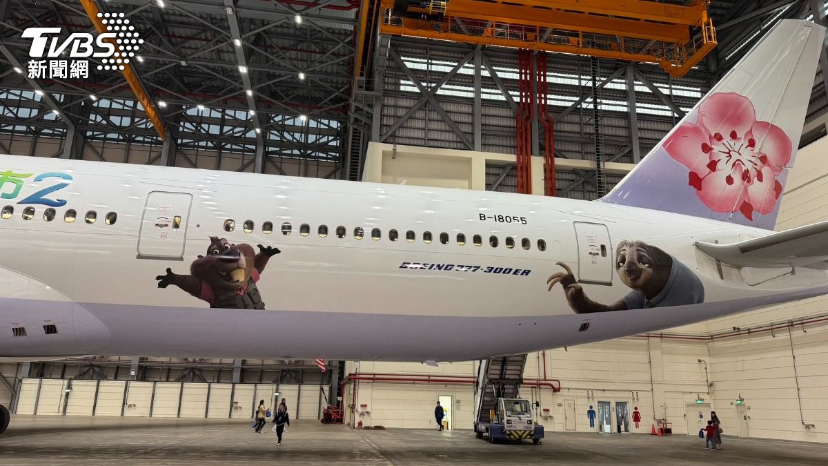 開箱／華航動物方城市彩繪機亮相 超萌機上用品、週邊曝│TVBS新聞網