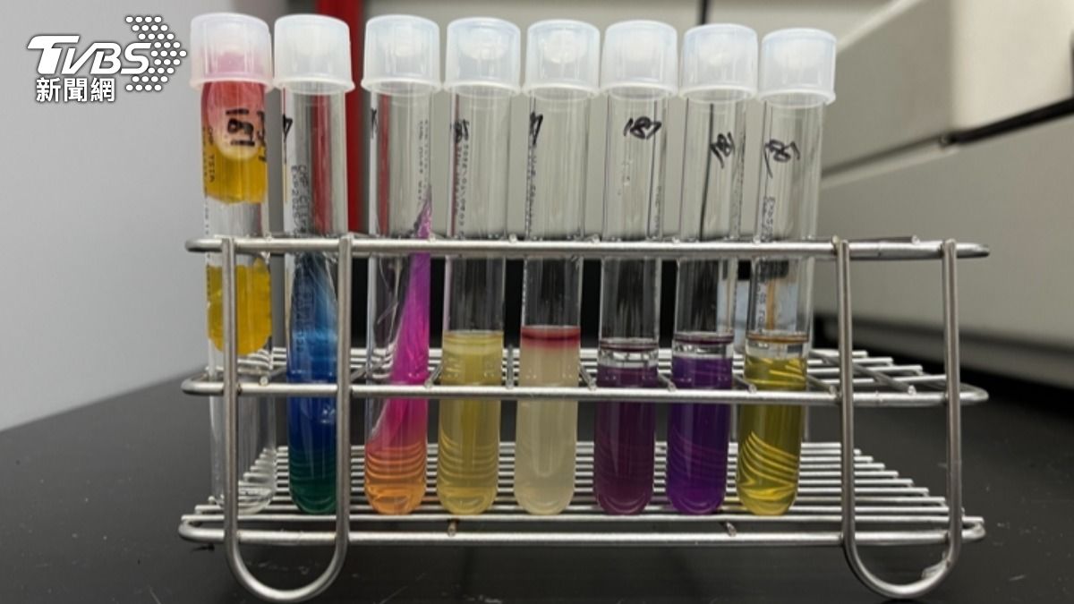 吃藥養大超級細菌？國衛院專家教你「四不一要」 守住家人免疫防線！│TVBS新聞網